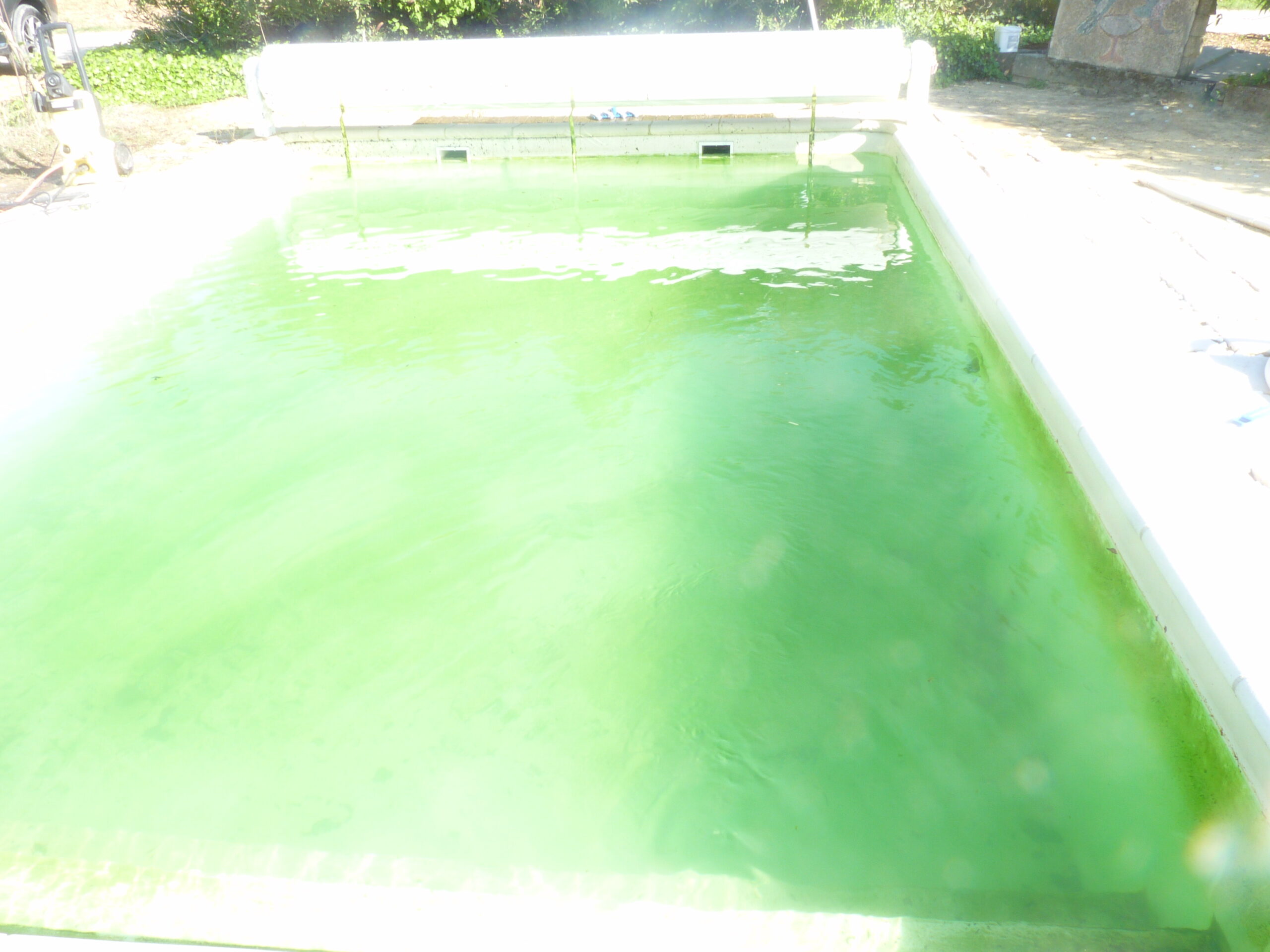 Piscine: Comment rattraper une eau verte? - Floculant naturel